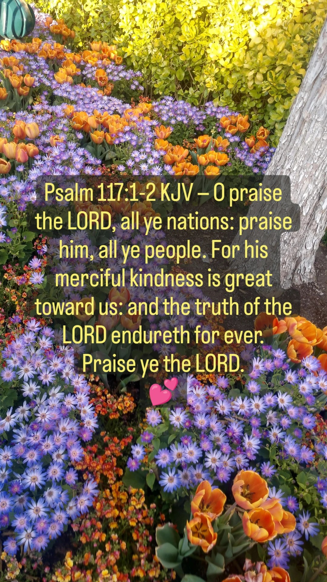 Praise 117:1-2 Psalm – Faithfull💛Writer